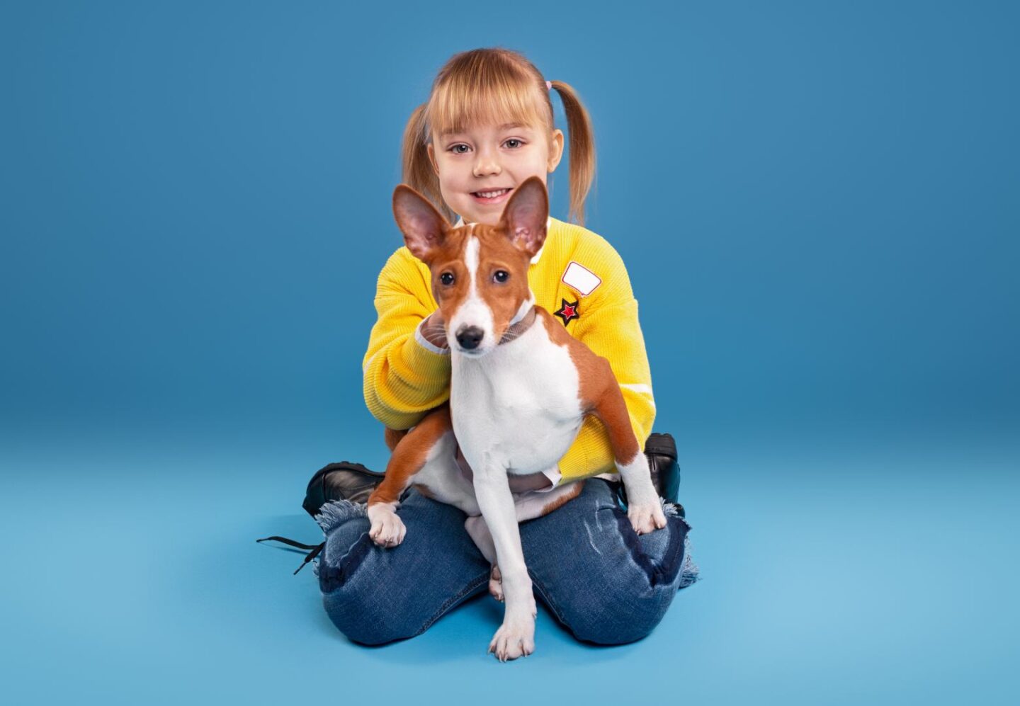 Tips to Build Your Dog Attention Span by Hilton Butler